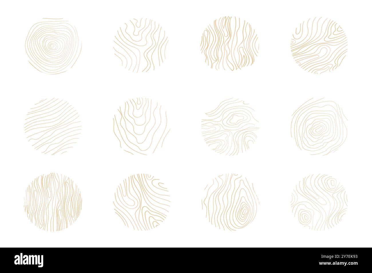 Golden thin line tree ring collection. Elegant gold wooden section ...