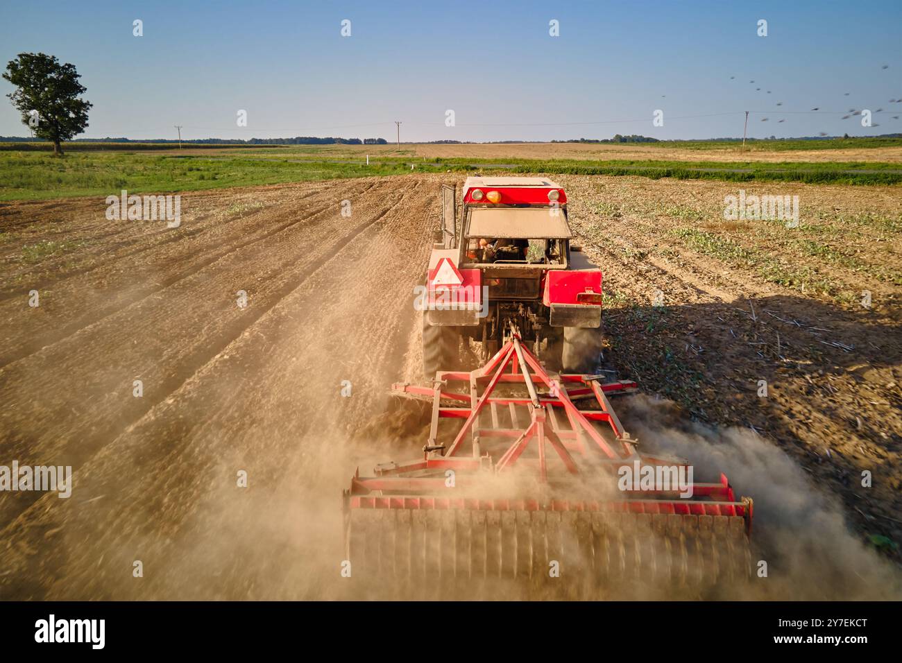 Red tractor working in agricultural field, cultivating and plowing dry ...