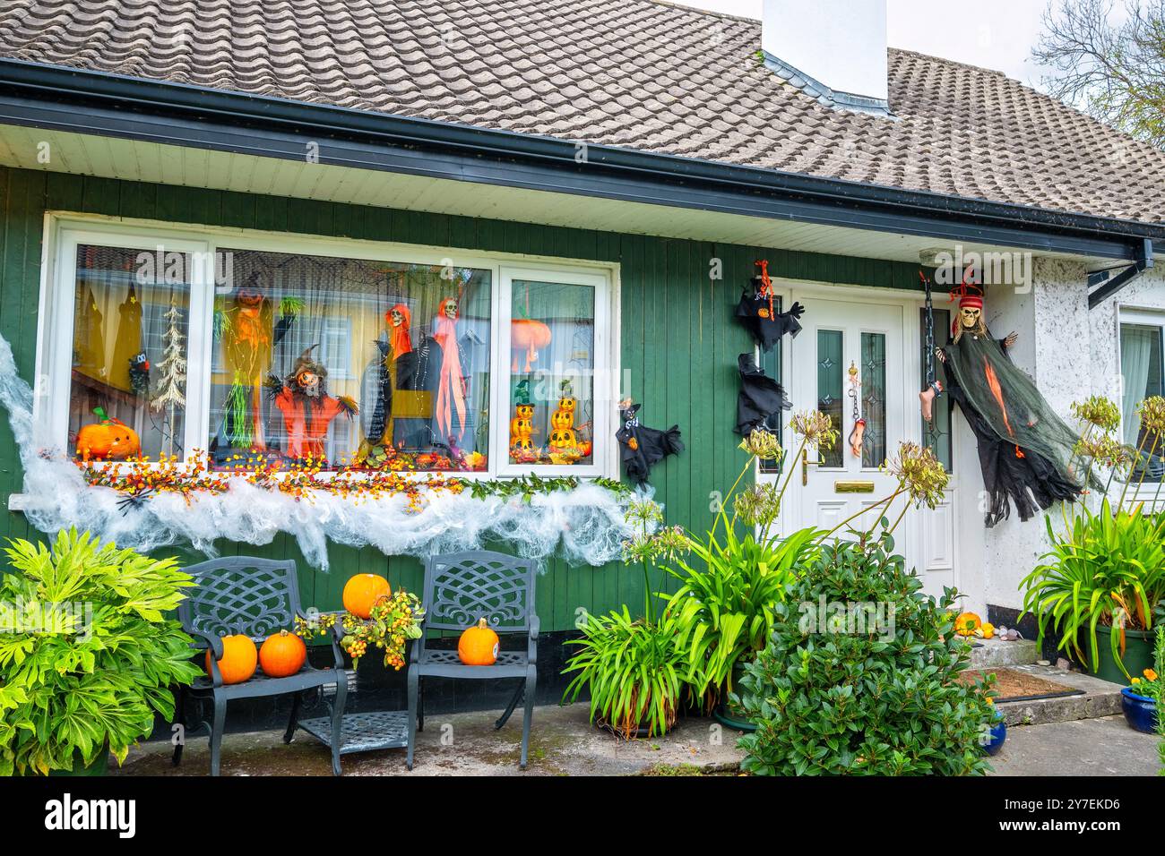 Cottage decorated for Halloween with pumpkins and scary figures. Cong ...