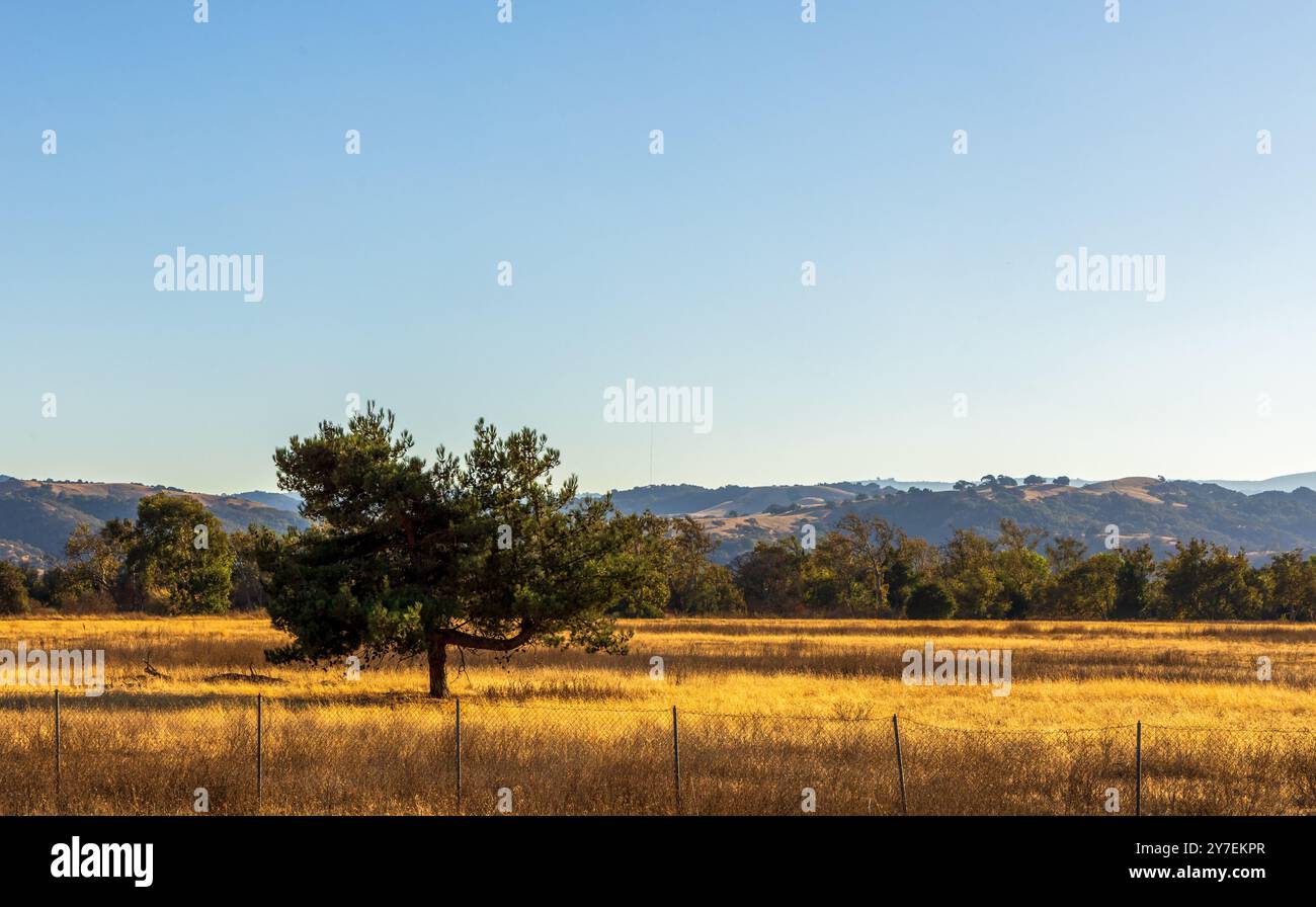Rural Landscape in California. Countryside of USA Stock Photo - Alamy