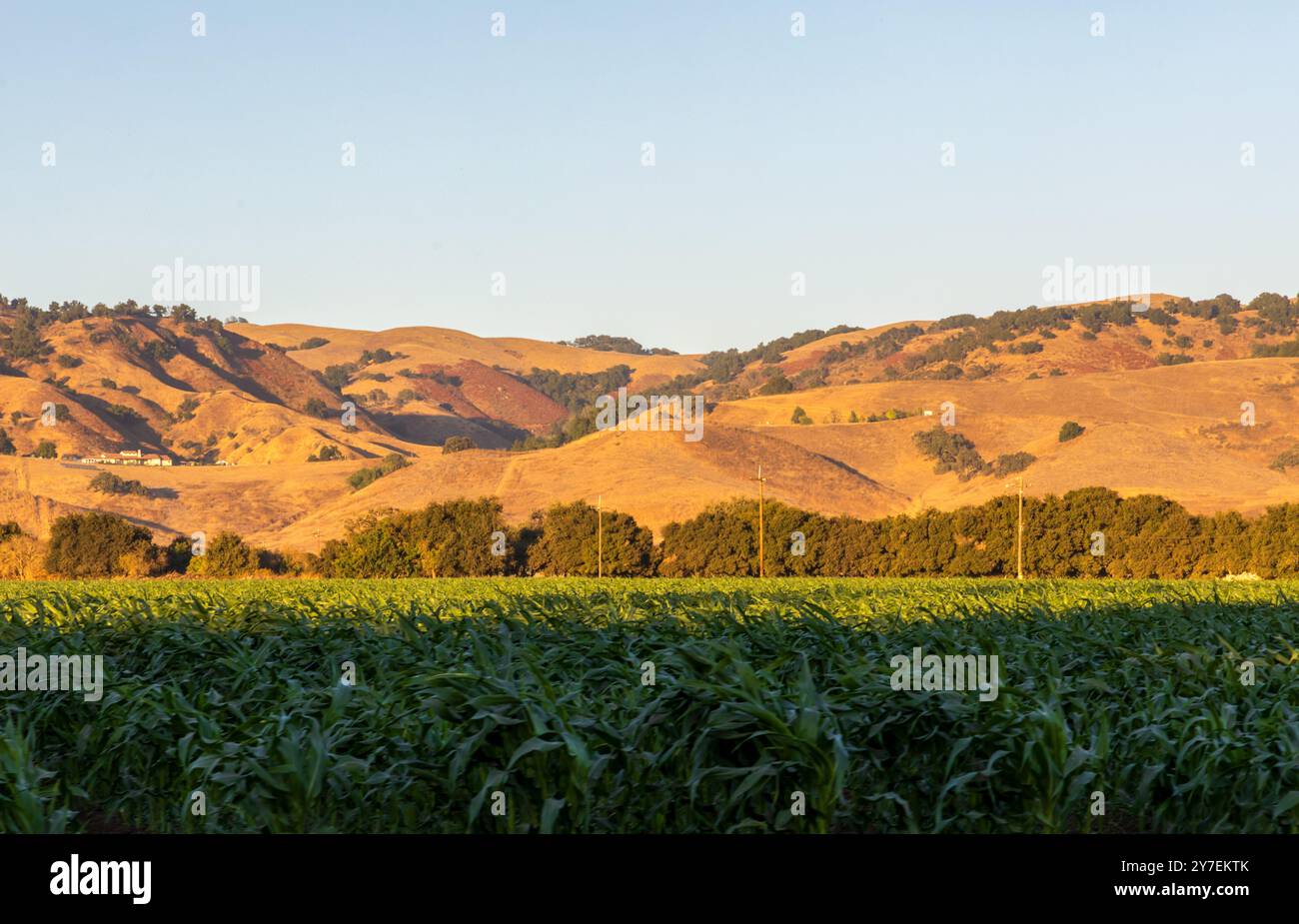 Rural Landscape in California. Countryside of USA Stock Photo - Alamy