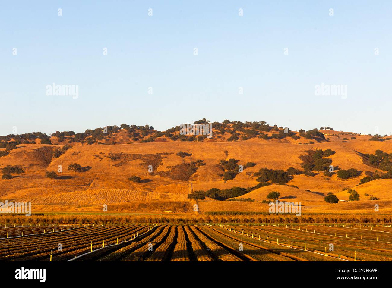 Rural Landscape in California. Countryside of USA Stock Photo - Alamy