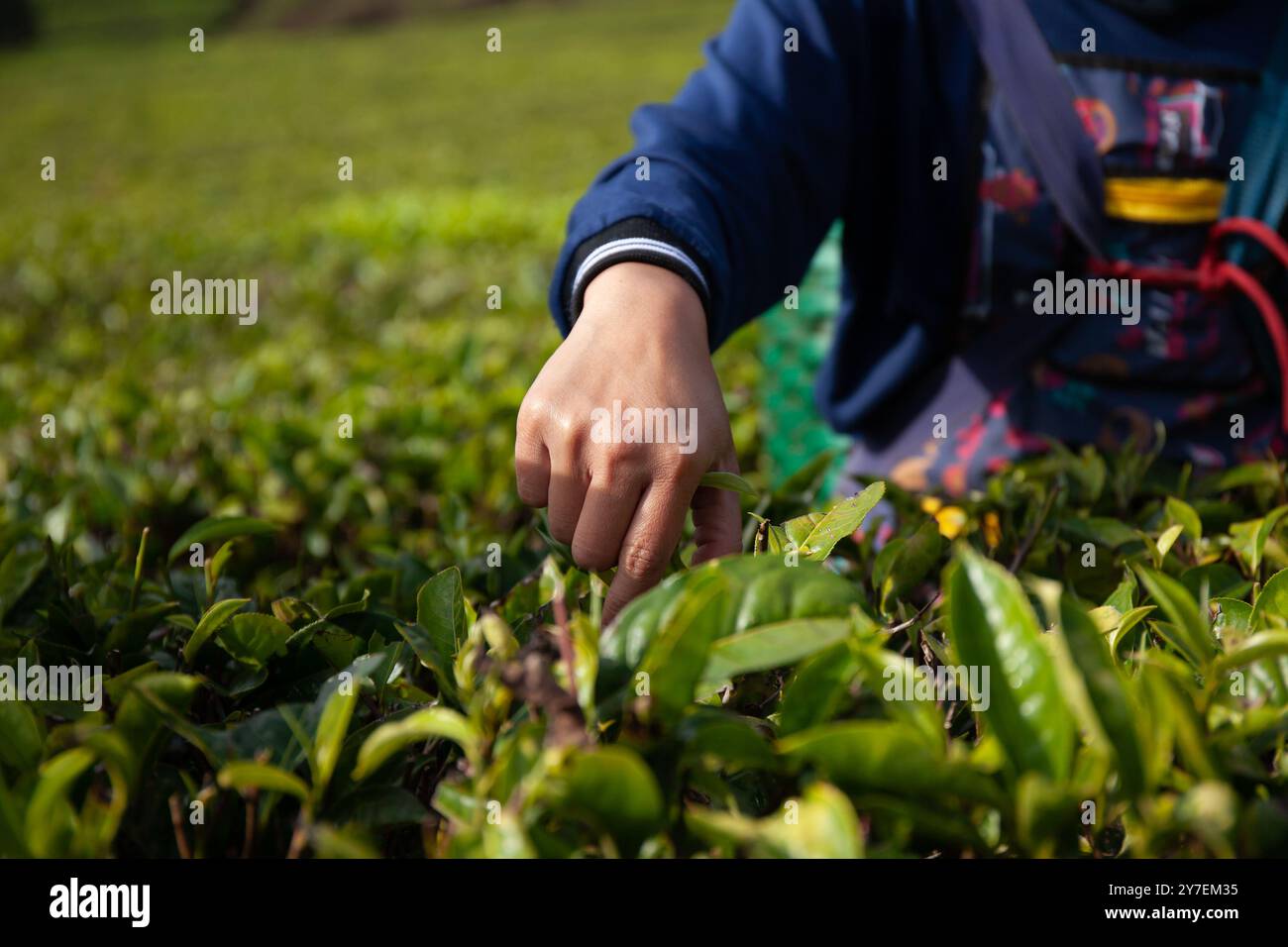 Cukul, Pangalengan, West Java, Indonesia - 12 October 2019: Muslim ...