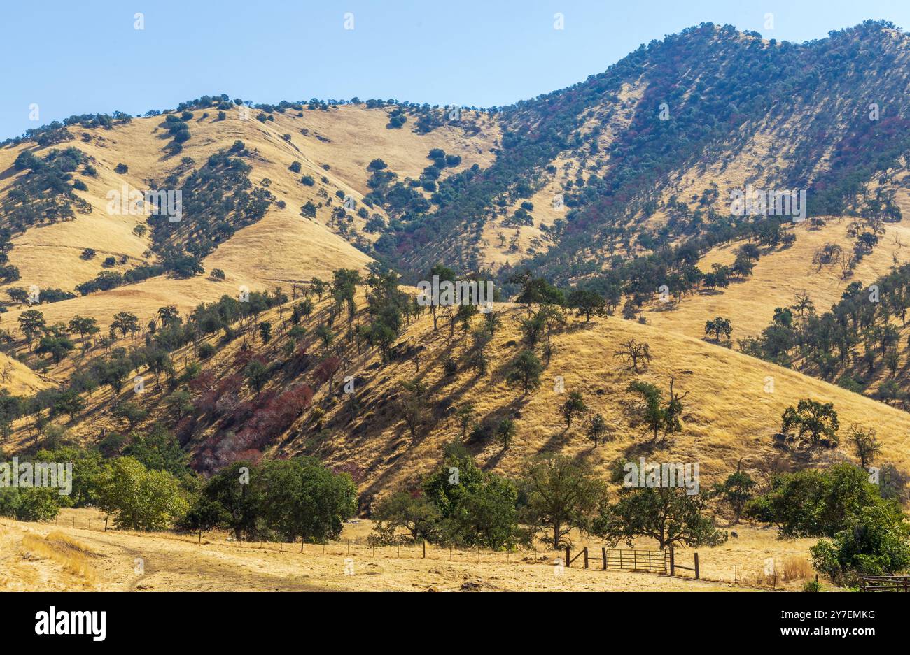 Rural Landscape in California. Countryside of USA Stock Photo - Alamy