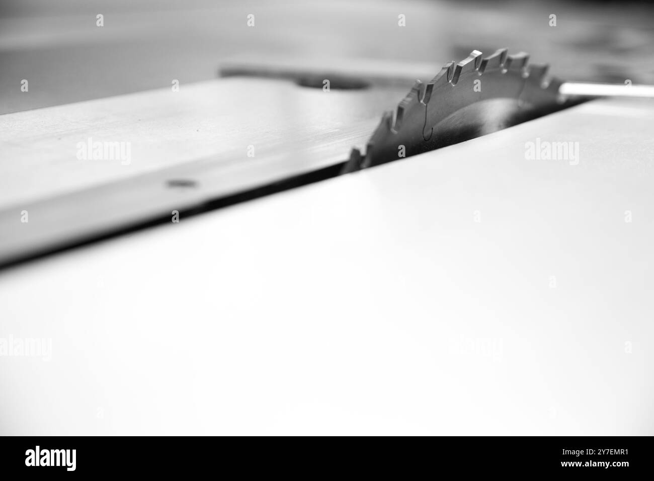 Sharp circular saw blade cutting through a piece of wood in a ...