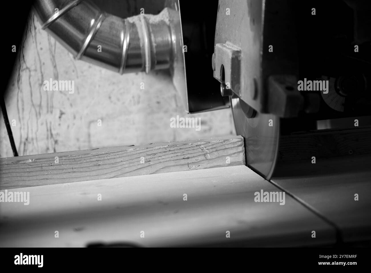 Skilled carpenter cutting wood with a circular saw in a busy workshop ...