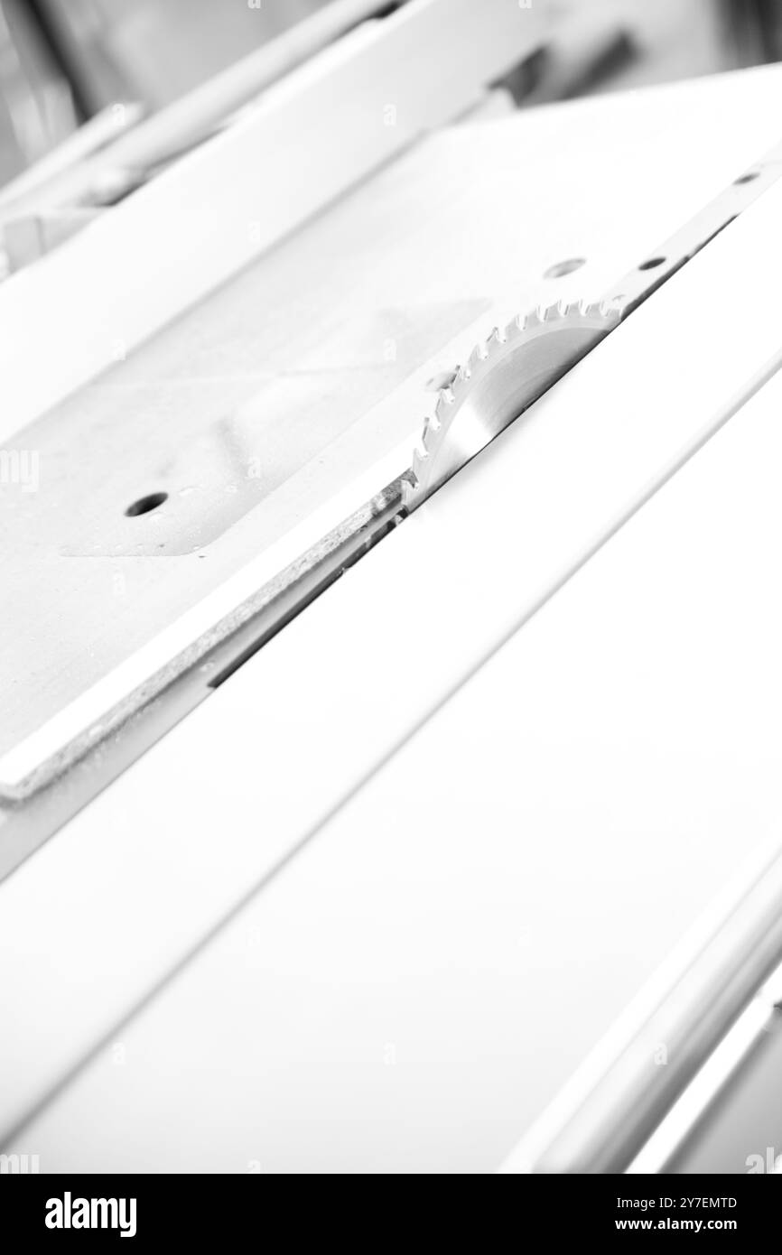Circular saw blade cuts through white wood in a busy carpentry workshop ...