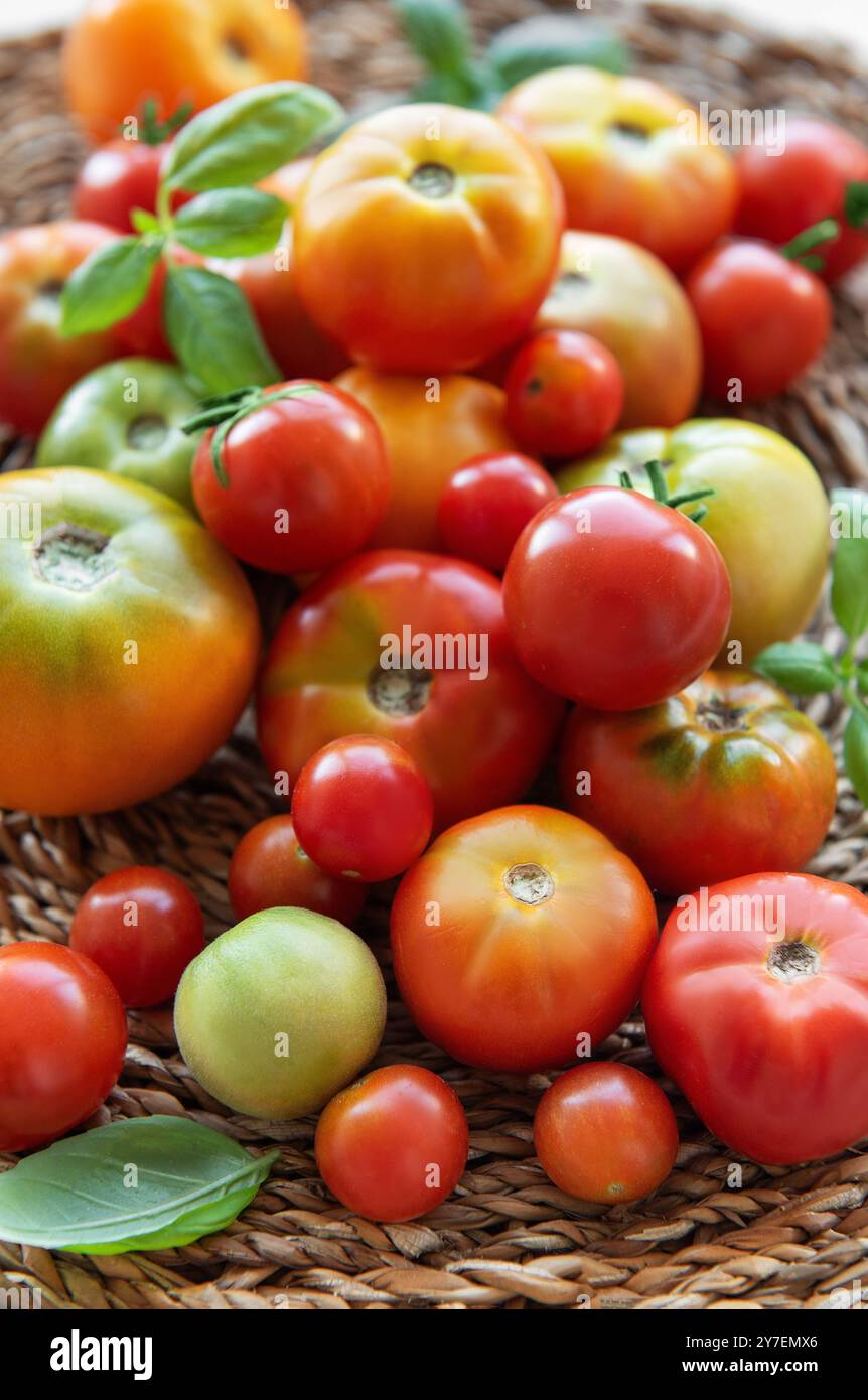 A vibrant collection of freshly picked tomatoes in different sizes and ...