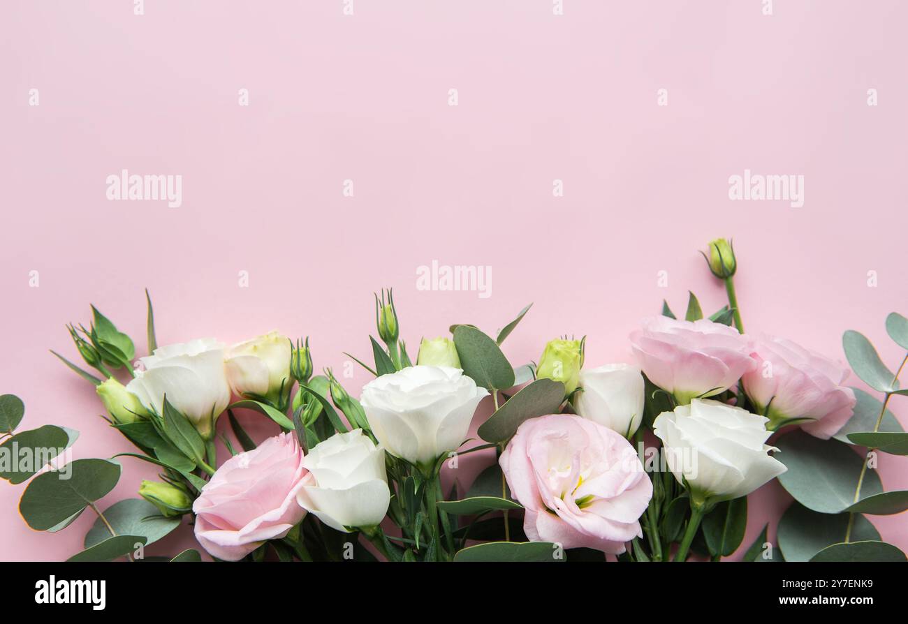Elegant petals in soft shades of pink hi-res stock photography and ...