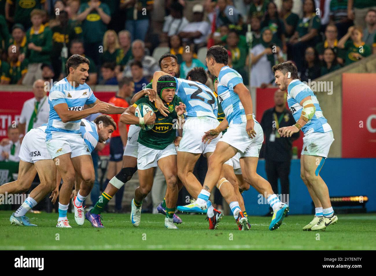 Arendse argentina hi-res stock photography and images - Alamy