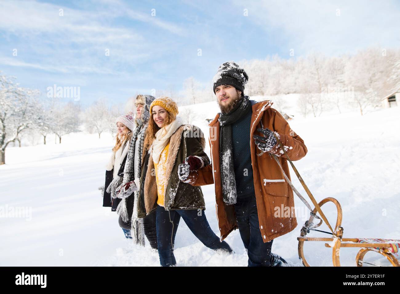 Group of friends pulling sleds behind them, going to sleddingin in ...