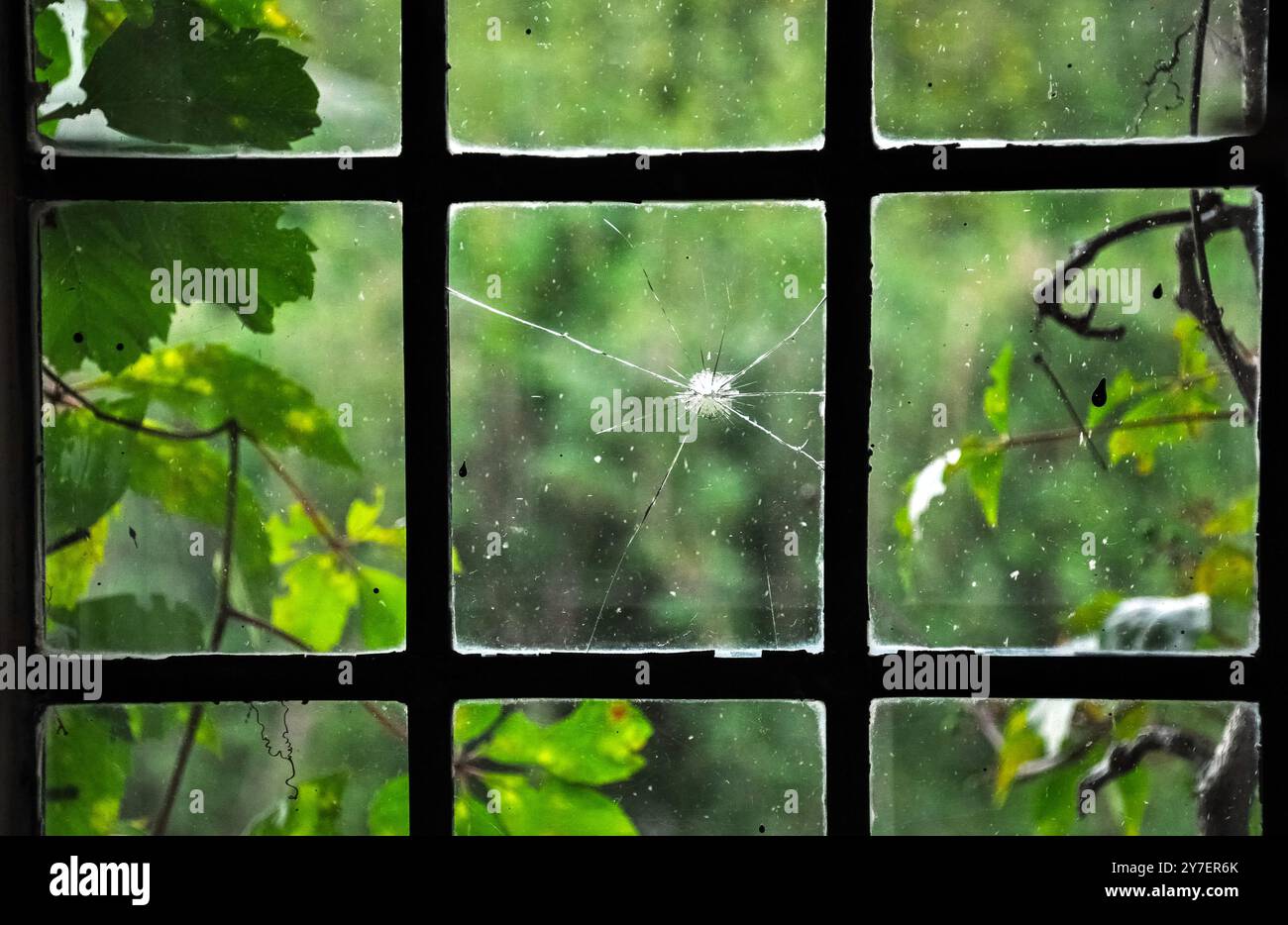 Photography of looking outside through a nine pane broken window at ...