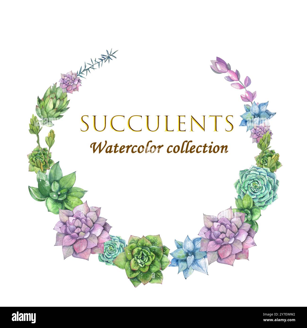 Succulents Collection. Watercolor Illustration. Green, Lilac, Blue ...