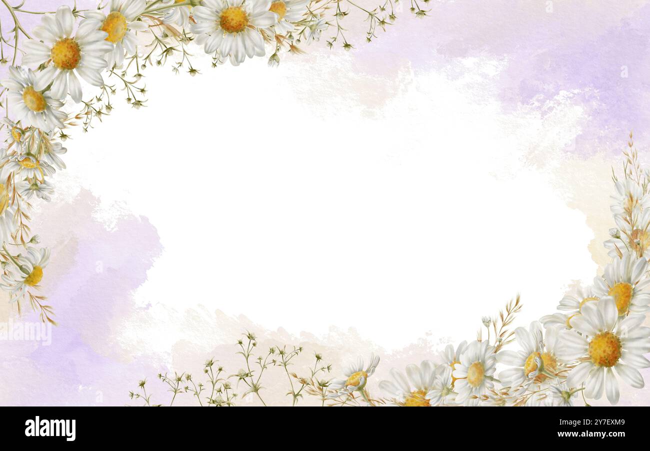 Rectangular corner frame of white daisies,dried flowers,feverweed with ...