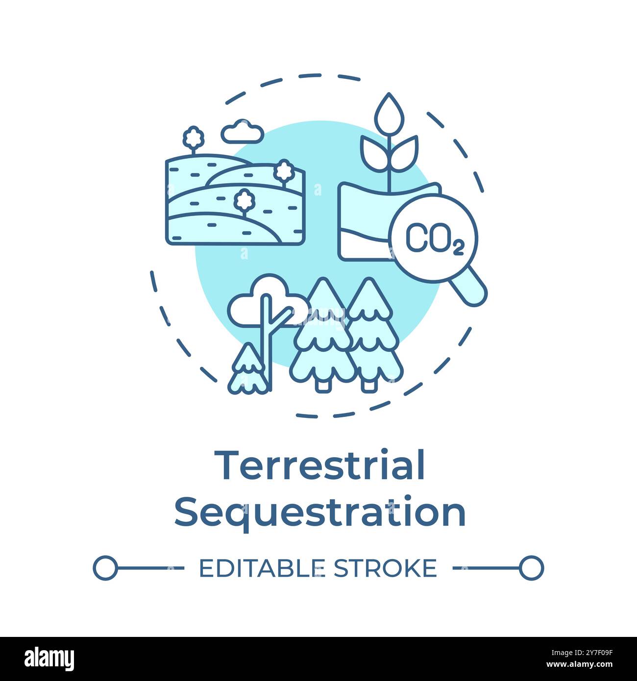 Terrestrial carbon Stock Vector Images - Alamy