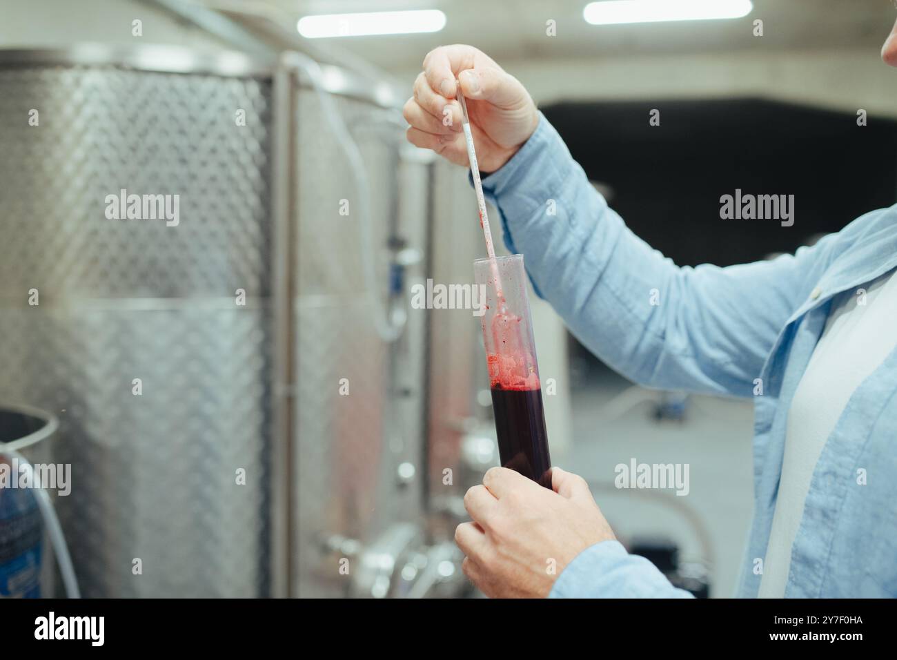 Winemaker standing in the wine cellar, controlling, testing wine sample ...