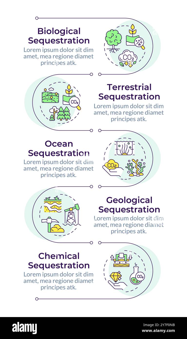 Types of carbon sequestration infographic vertical sequence Stock Vector Image & Art - Alamy