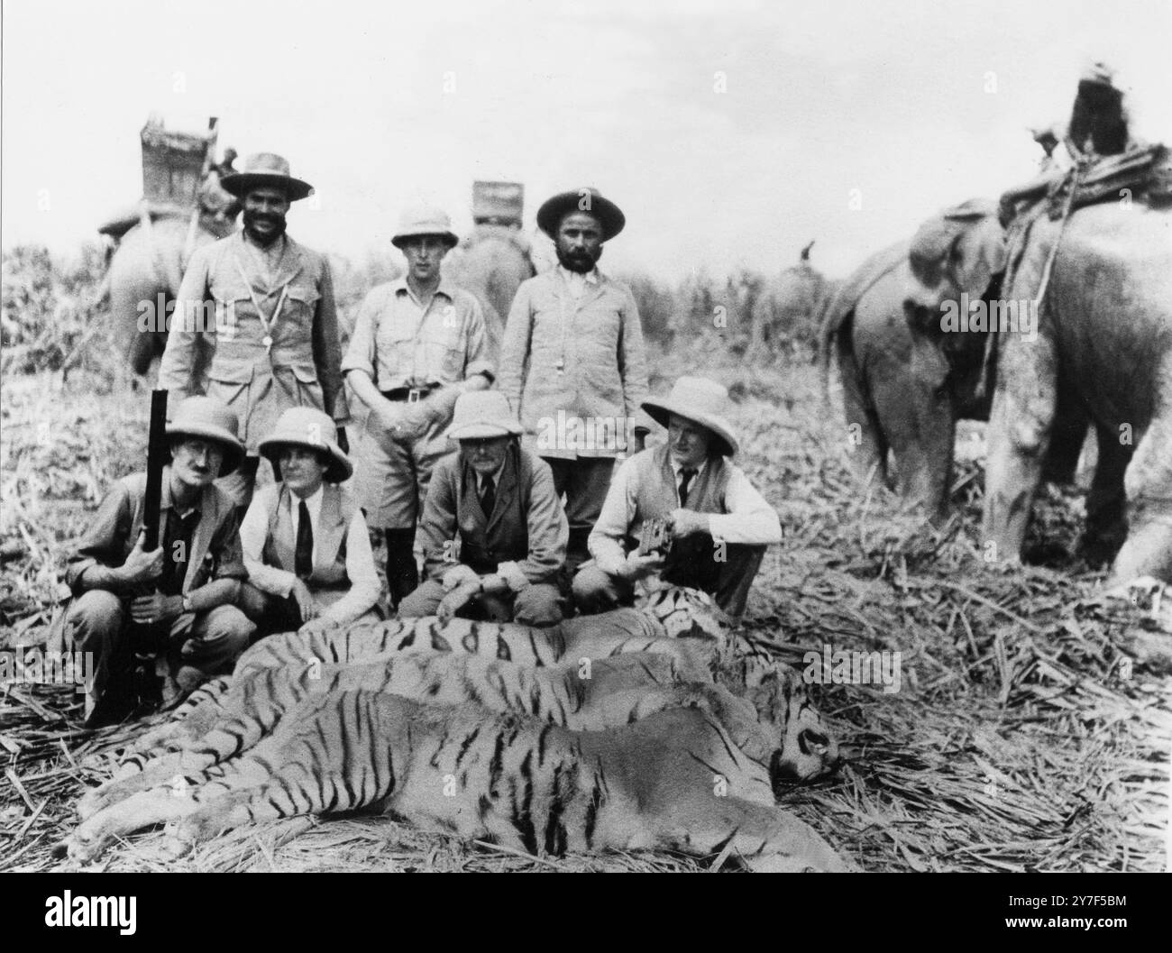 General Bruce on a record tiger shooting expedition. The leader of the ...