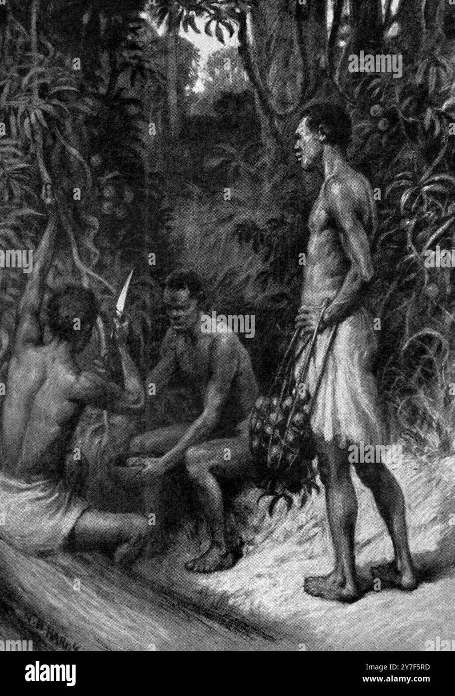 The rubber industry in the Congo, 1910. "milking the rubber-vine and ...