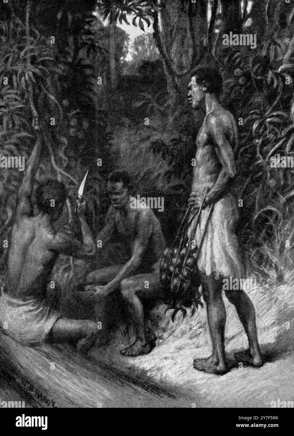 The rubber industry in the Congo, 1910. "milking the rubber-vine and ...