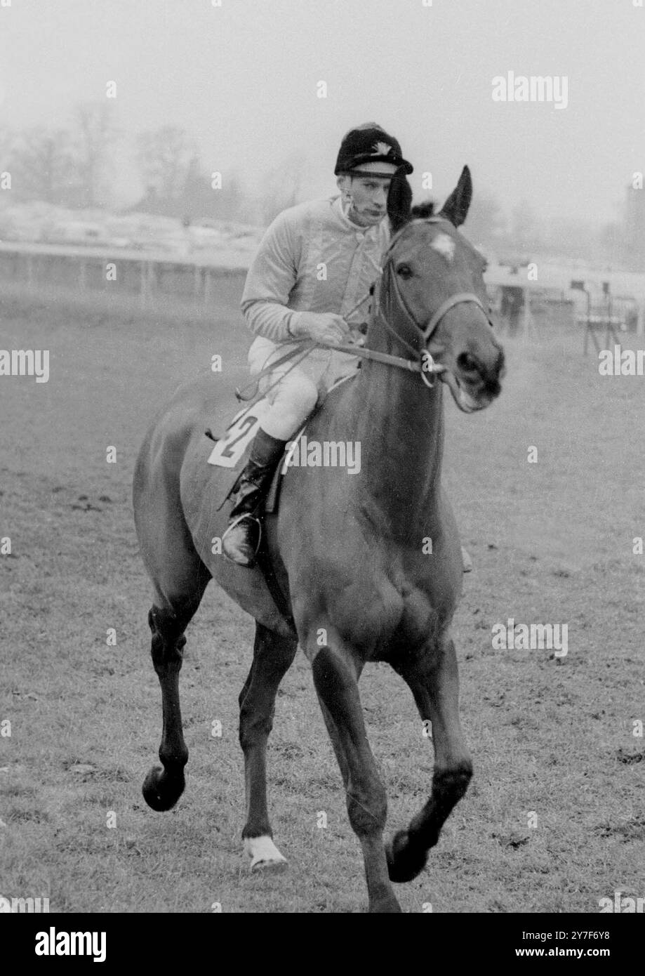 Bill Rees Jockey riding The Rip owned by HM Queen Elizabeth 1964 Stock ...