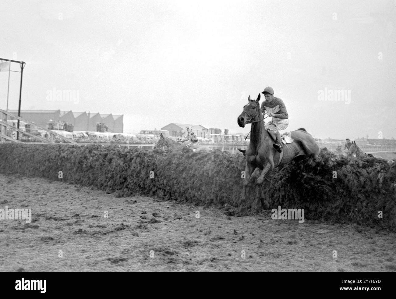 Quare Times ridden by jockey Pat Taaffe jumps the last fence to go on ...