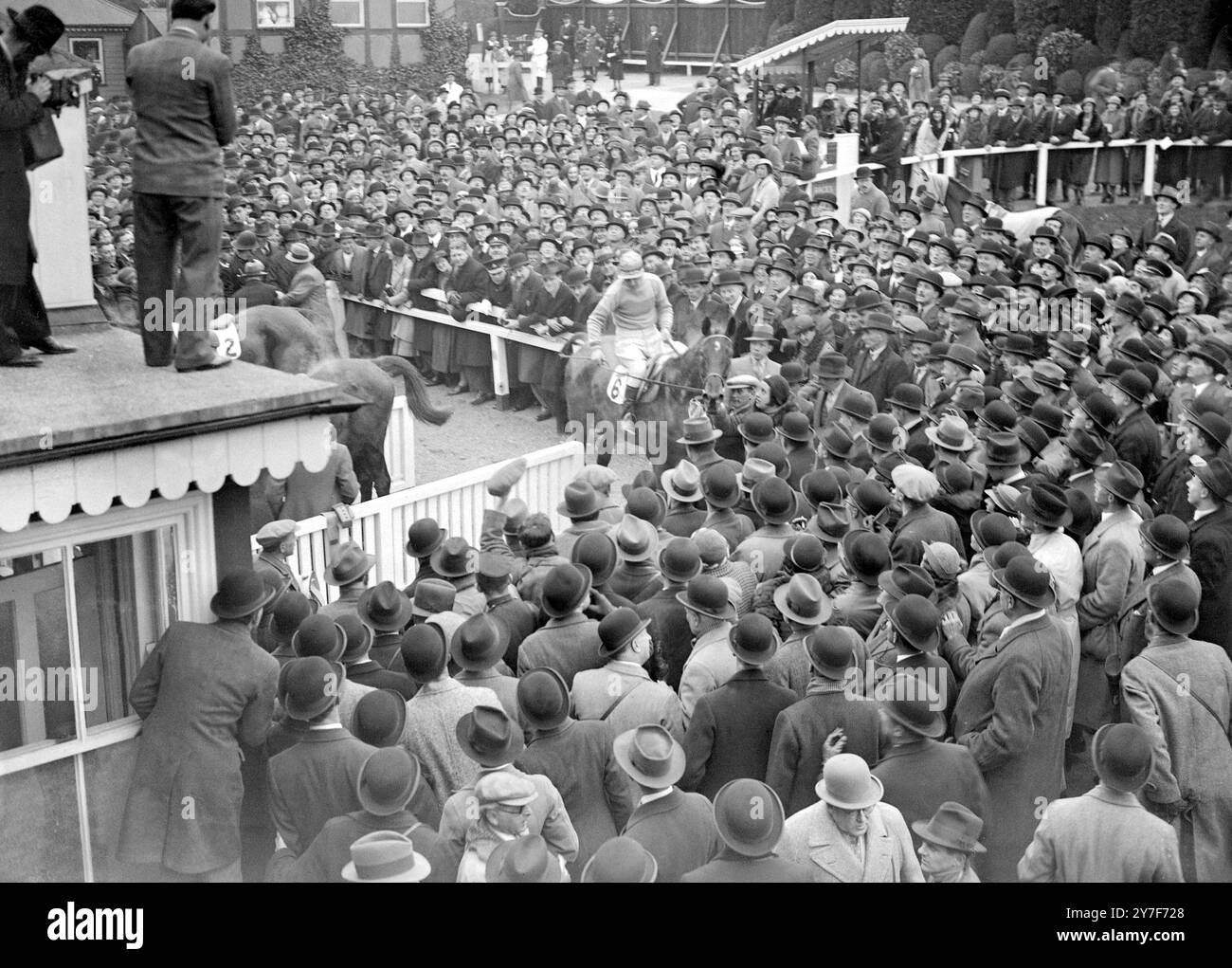 Year of the golden horse Black and White Stock Photos & Images - Alamy