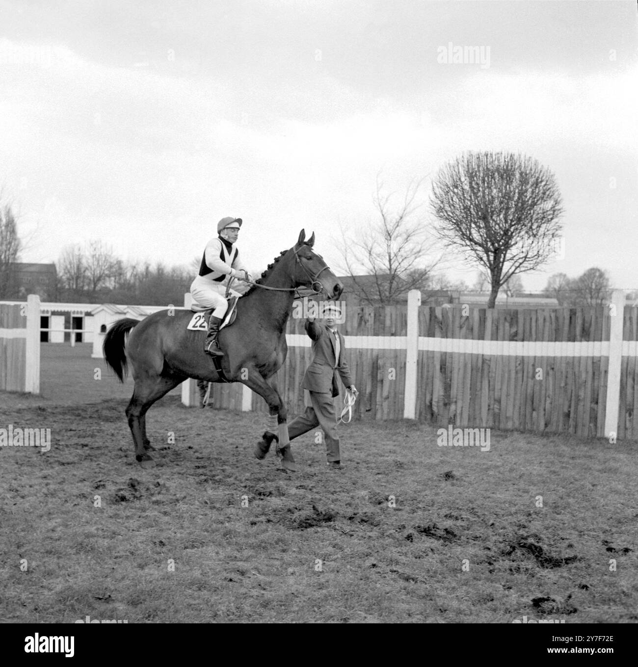 Steeplechaser Mill House 1964 Stock Photo - Alamy