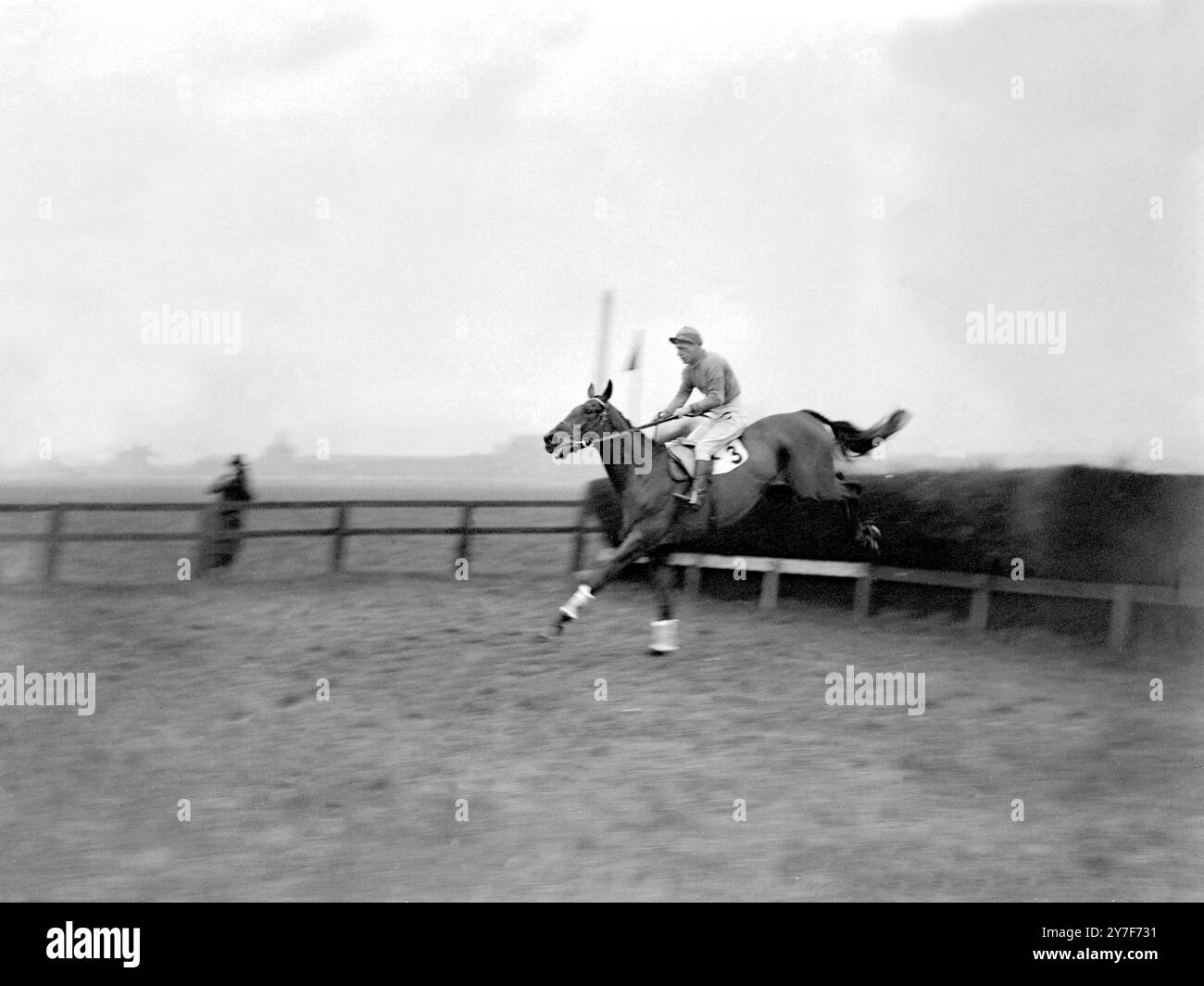 Golden Miller - Steeplechaser Stock Photo - Alamy