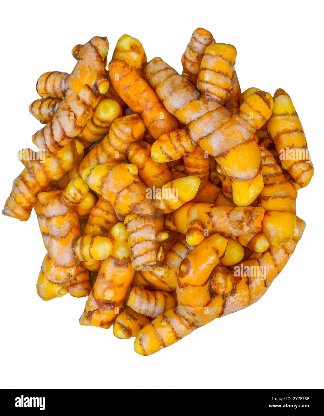 Yellow turmeric roots isolated on a white background Stock Photo - Alamy