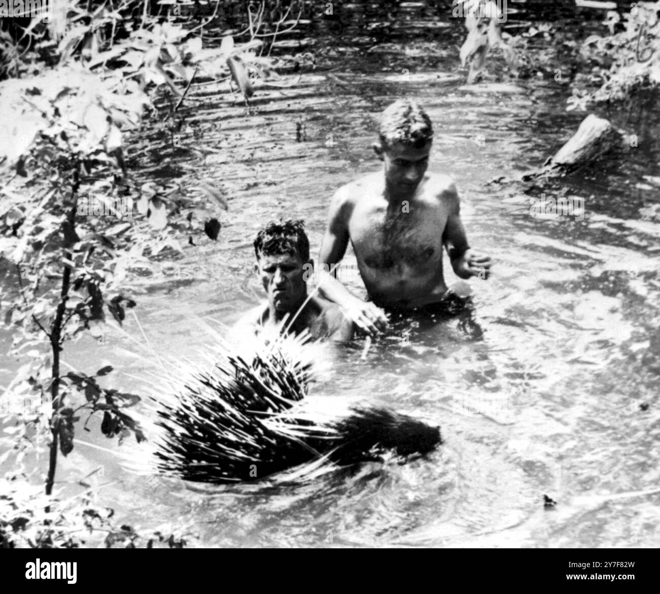 20th February , 1959. Kariba Lake. Operation Ark. Frank Junor, A Game ...