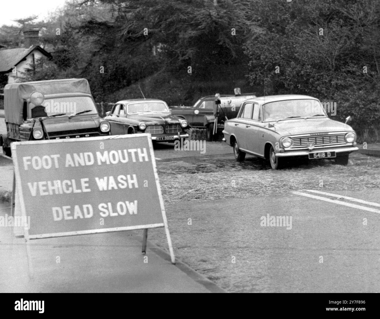 Shrewsbury Wiltshire: Vehicles pass through straw soaked in ...