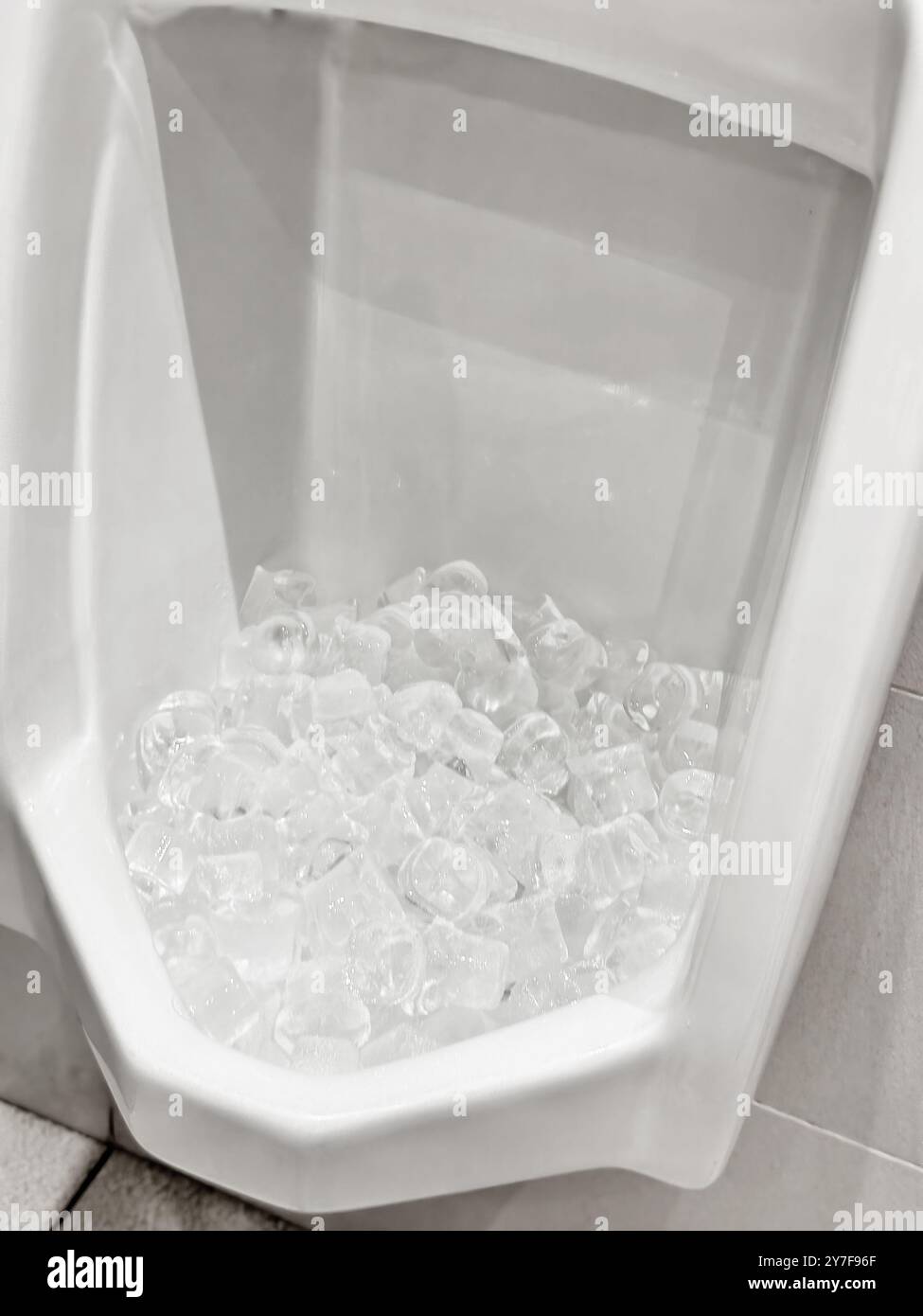 A white urinal is filled with a heap of ice cubes. Modern cleaning ...