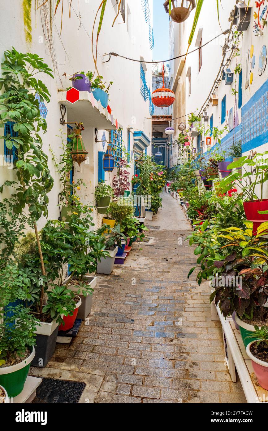 Tangiers medina pots hi-res stock photography and images - Alamy