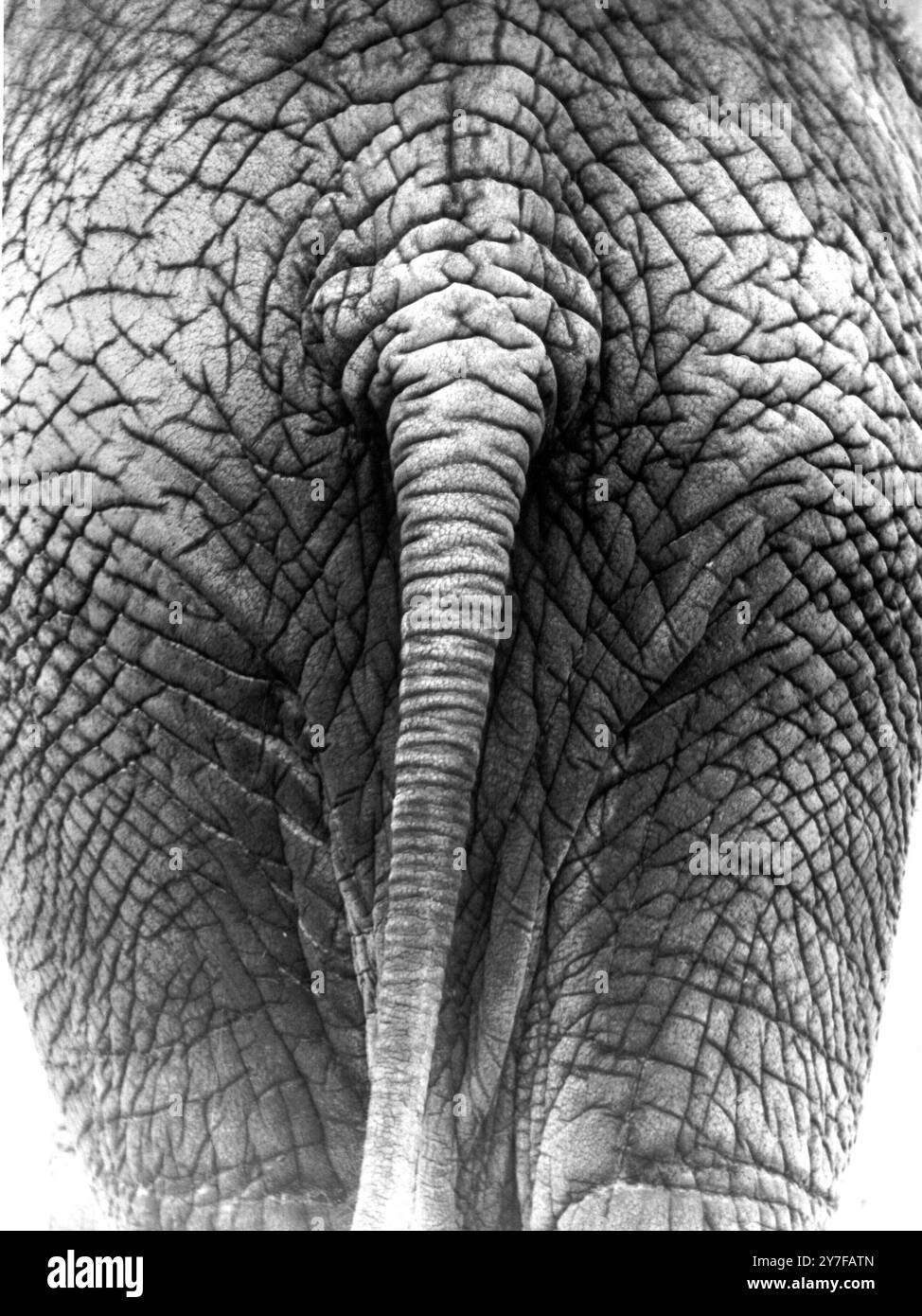 Artistic Study? What is it? A microscopic view of someone's dishpan ...