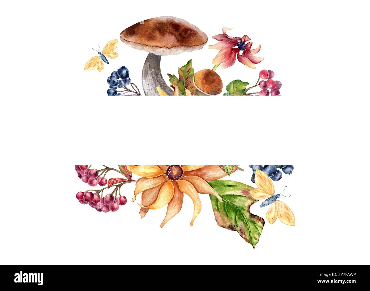 Autumn border of flowers, mushrooms with viburnum berries, rowan and ...