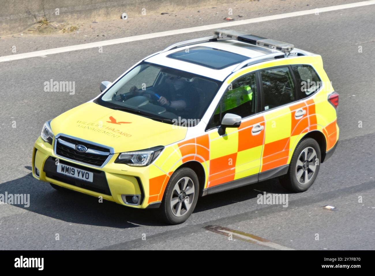 Close up of Subaru car bird in flight symbol on bonnet & words state ...