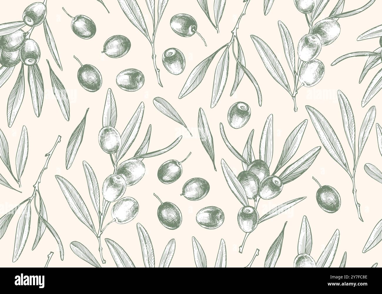 Seamless pattern with olive branches and berries, background with ...