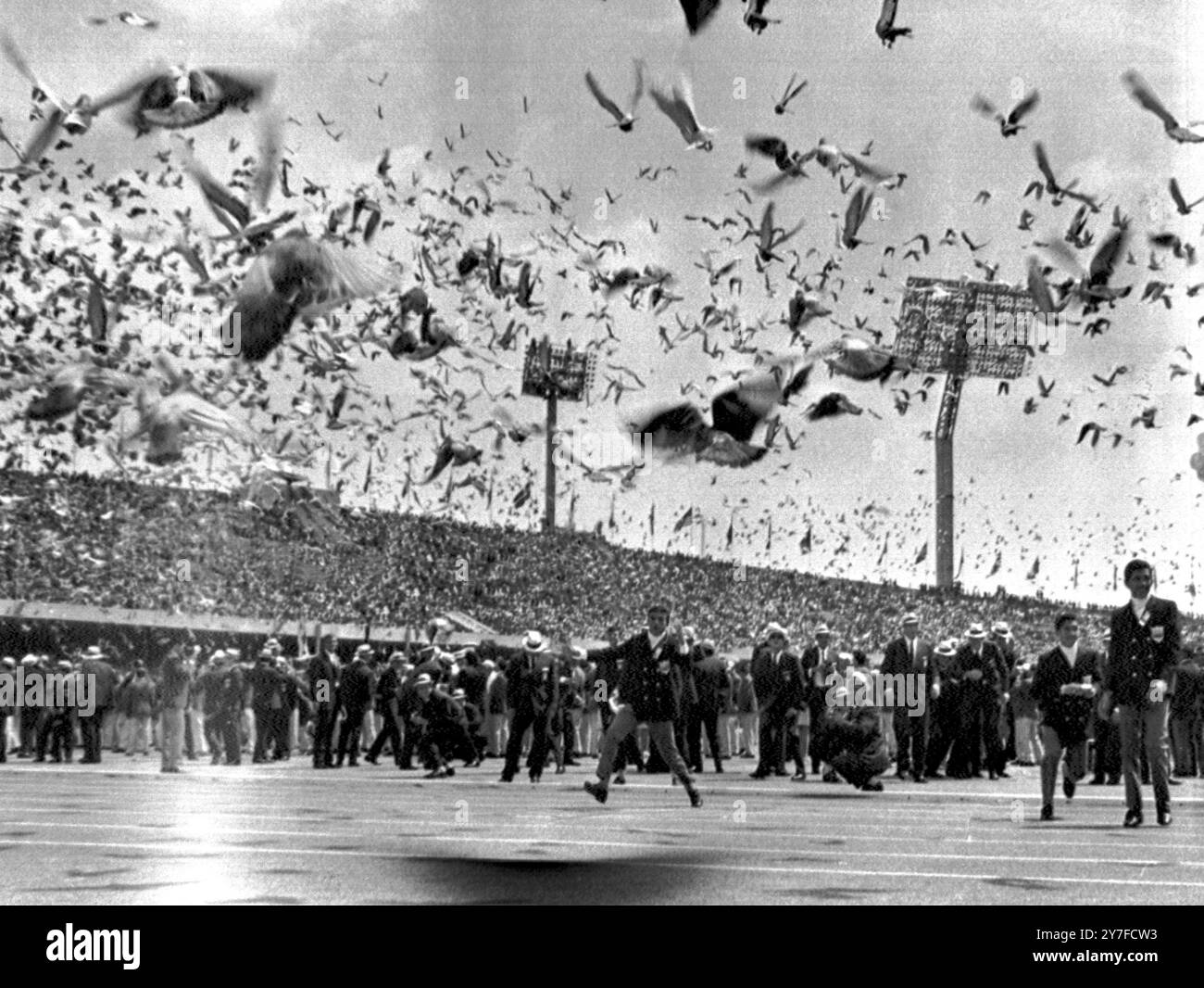 Thousands of pigeons take off from their boxes during the opening ...
