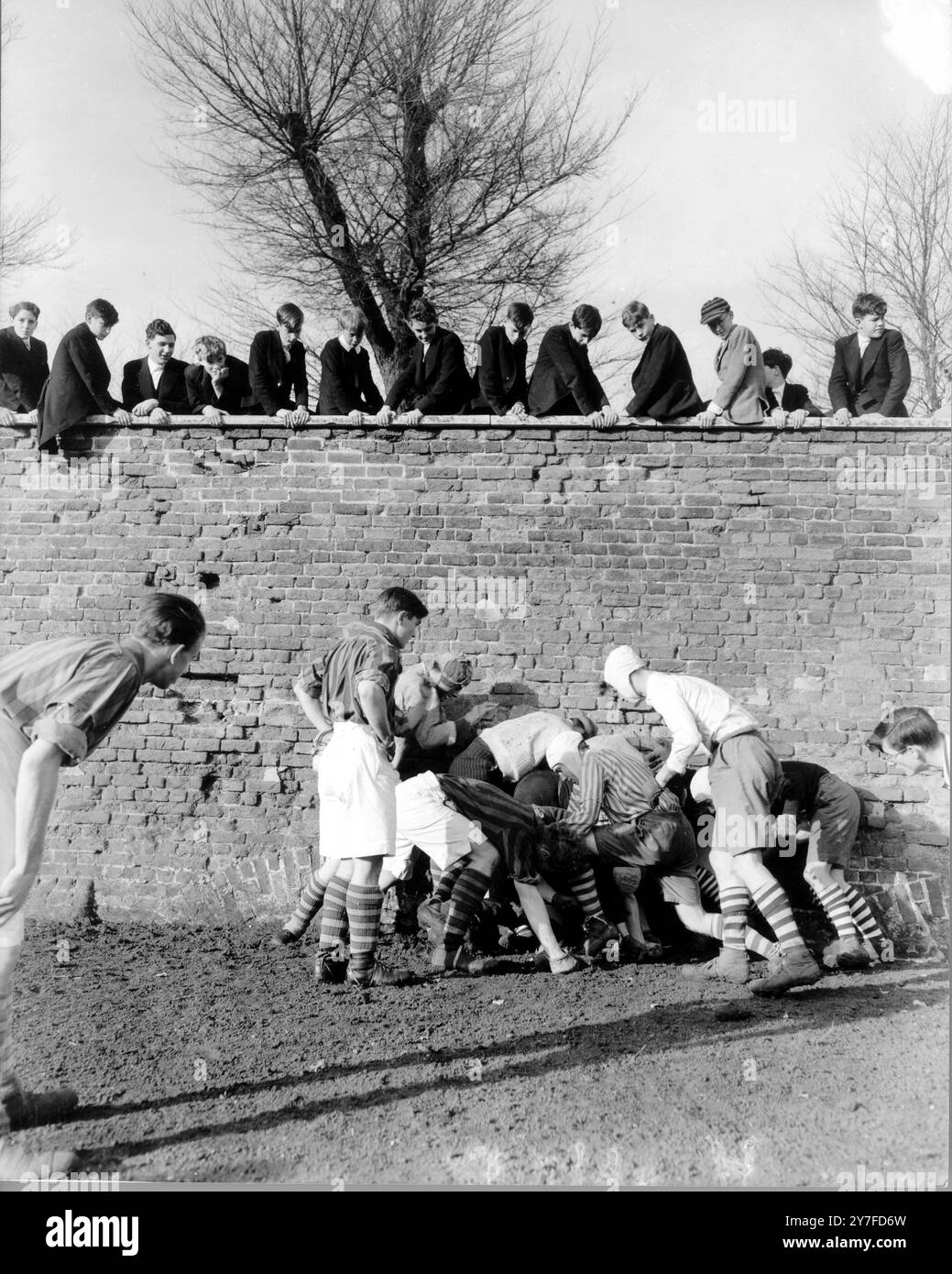 Prostrate form hi-res stock photography and images - Alamy