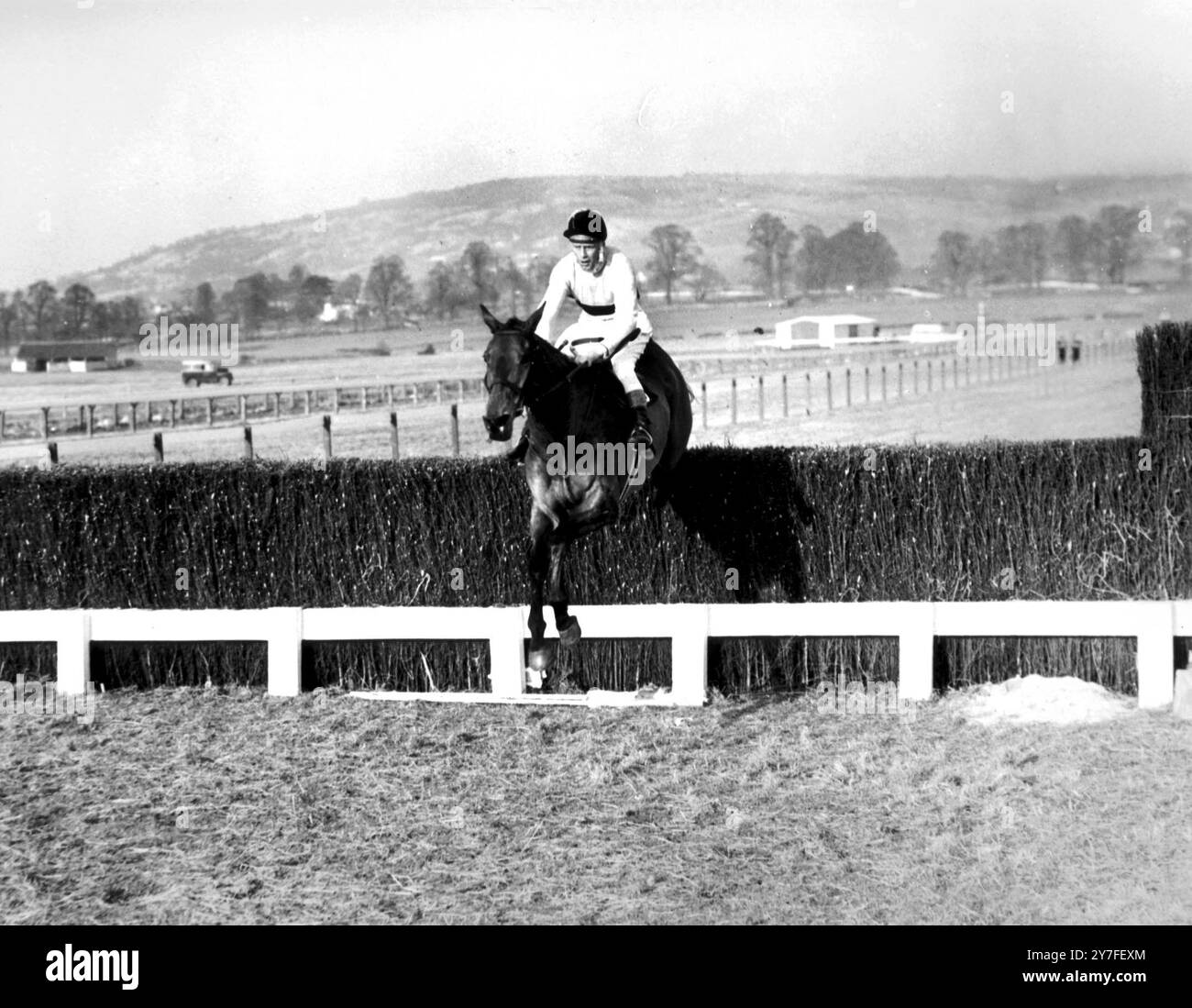 Pat Taaffe onboard Arkle takes the last fence to win the 40th year of ...