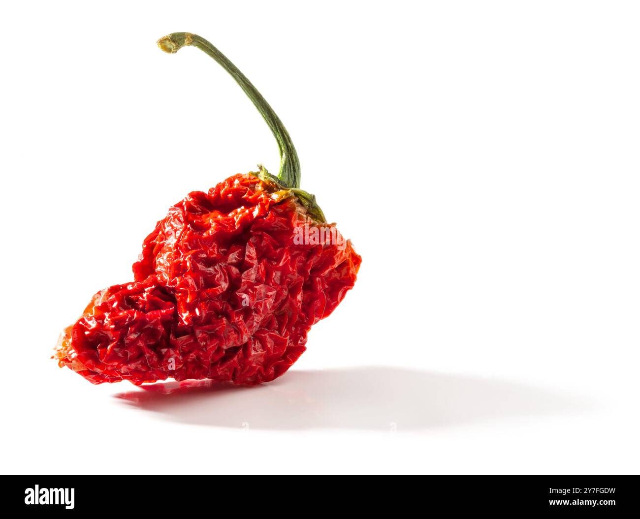 Ped Carolina Reaper dry pepper. Is a variety of chili pepper have a ...