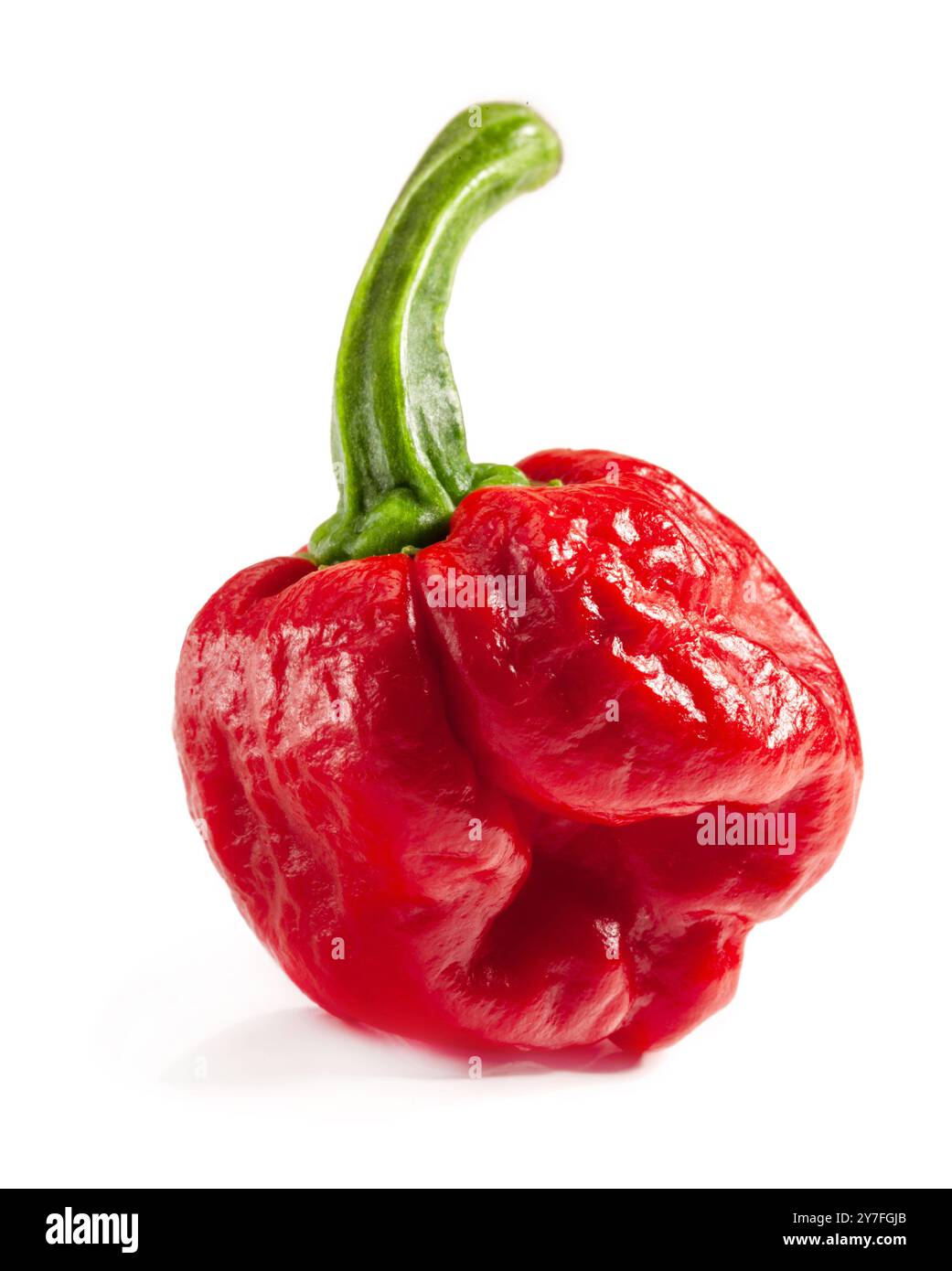 Ped Carolina Reaper pepper. Is a variety of chili pepper have a heat ...