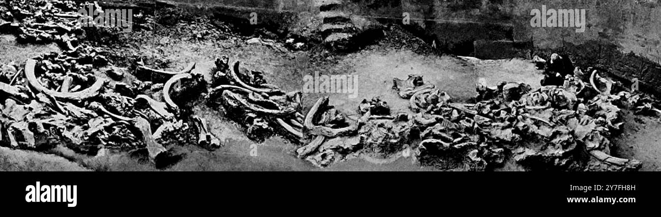 A great stone-age tragedy - the slaying of the mammoths : kitchen ...