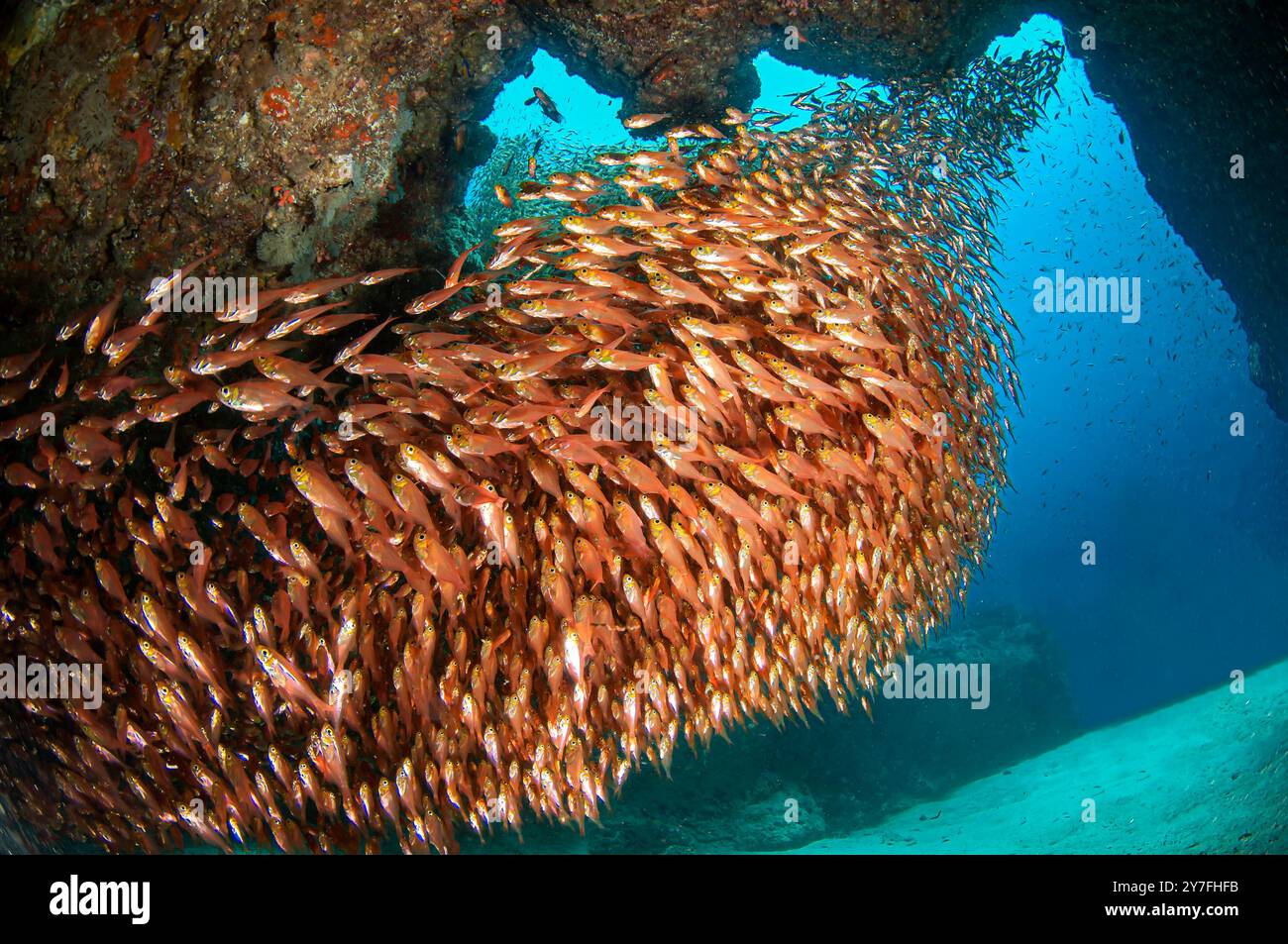 Al hasikiah arch hi-res stock photography and images - Alamy