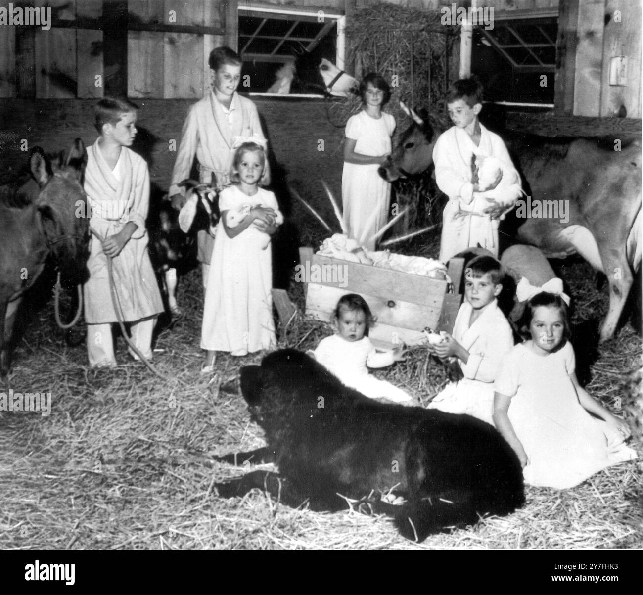 Robert Kennedy with his eight children making up a nativity scene. The ...