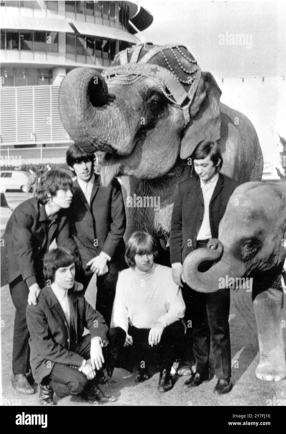 The Rolling Stones meet their fellow guests two elephants 1964 Stock ...