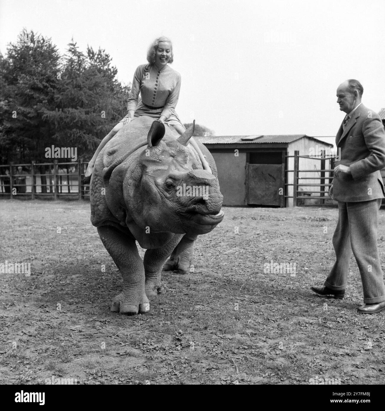 Michaela Denis rides a rhino at Whipsnade Zoo. She and her husband ...
