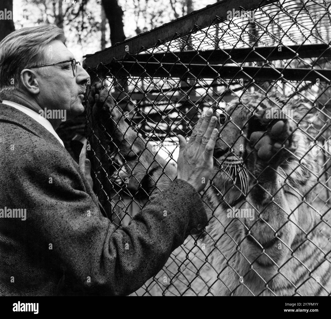 Armand Denis and a tiger at Whipsnade Zoo. He and his wife Michaela ...