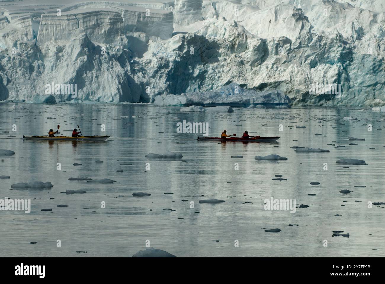 Kayakers paddle through Paradise Bay in the west coast of Antarctica's ...